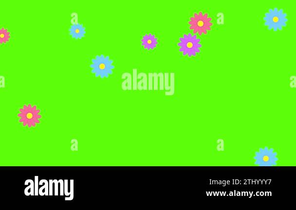 Random Flowers Rotating and Falling on Green Screen 4K Animation ...
