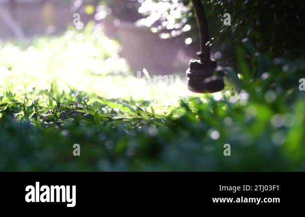 spinning nylon string parallel to the grass-level slow-motion clip ...