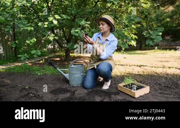 Pretty woman, gardener sitting in squat pose in the vegetable garden, next to gardening tools ...