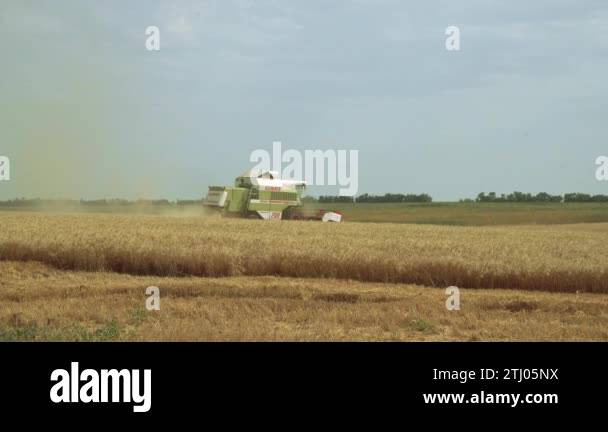 Farming wheat process Stock Videos & Footage - HD and 4K Video Clips ...