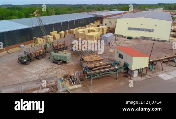 Crane unloads logs on the sorting line. Automated log sorting at a ...