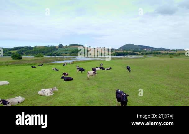 Wave lineal Stock Videos & Footage - HD and 4K Video Clips - Alamy