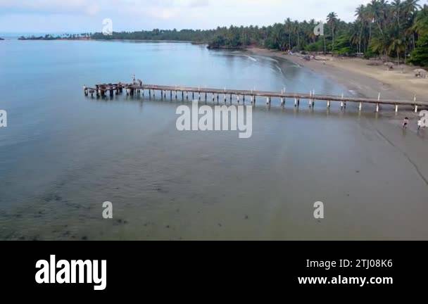 A bird's eye view of La Pascuala beach covered with greenery in Samana ...