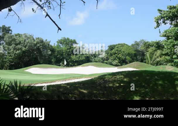 HD footage of a flagged green of a golf course in the tropics protected ...
