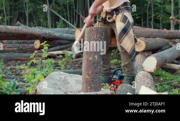 Male young hands chopping Stock Videos & Footage - HD and 4K Video ...