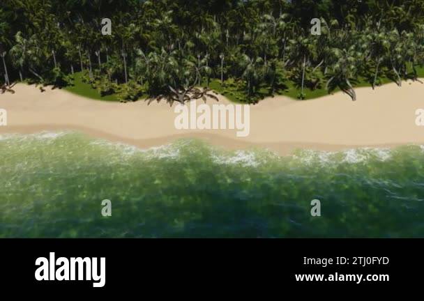 Tropical palm trees white sandy Stock Videos & Footage - HD and 4K ...