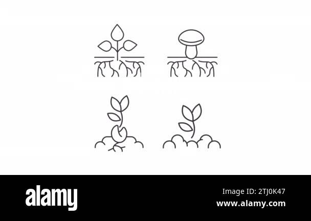 Root systems icon animation set. Animated plants with growing roots ...