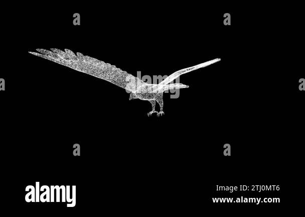 3D Eagle Falcon rotates on black background. Object made of shimmering ...