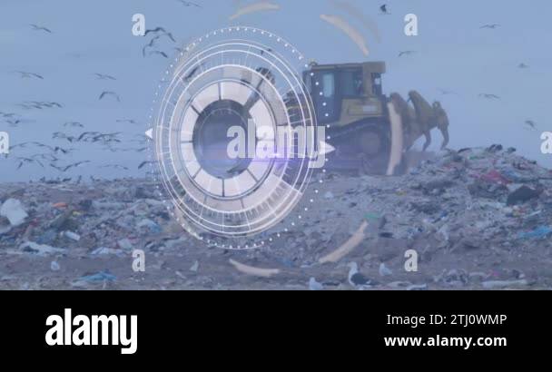 Animation of scanning interface screen over birds flying around ...