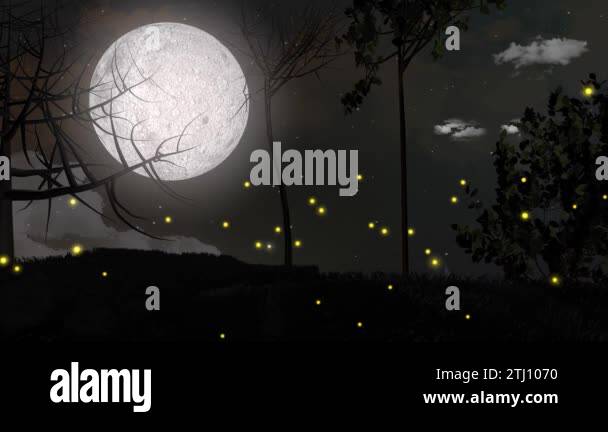Fireflies forest Stock Videos & Footage - HD and 4K Video Clips - Alamy