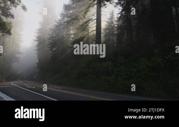 Scenic Redwood Highway 101 in Northern California United States of ...