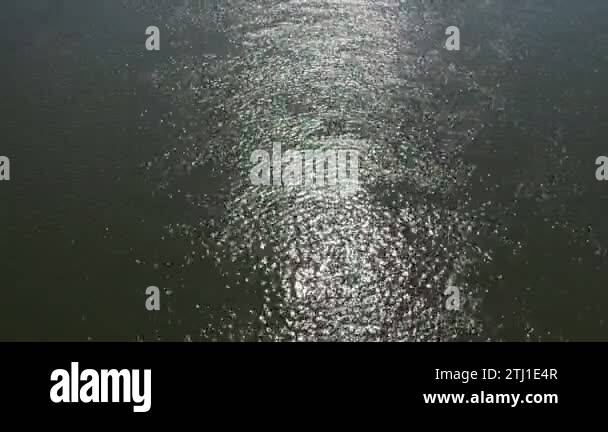 Ripples on the water. The suns rays fall on the surface of the sea and ...