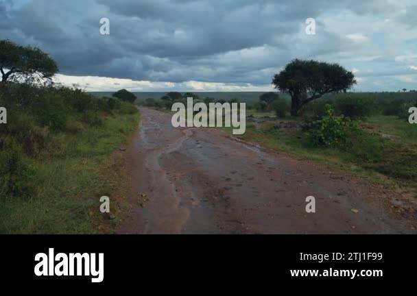 Fresh rainfall Stock Videos & Footage - HD and 4K Video Clips - Alamy