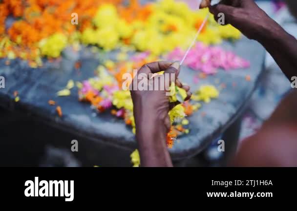 Prayer flower Stock Videos & Footage - HD and 4K Video Clips - Alamy