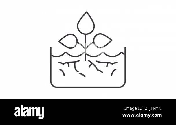 Root plant cutting line animation. Animated roots growing in water ...