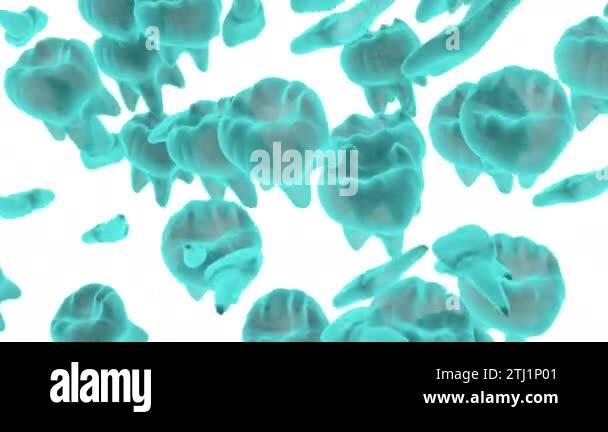 Animation with rotation of blue holographic teeth on a white screen ...