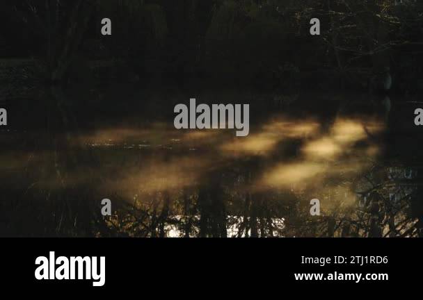 Mist moving on a lake in sunlight with beautiful orange reflections and ...
