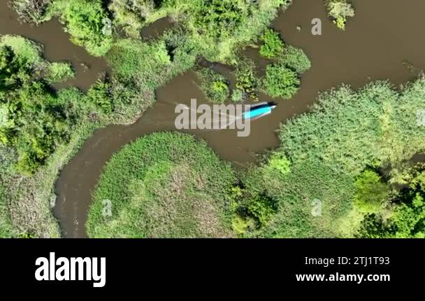 Boat sailing at Amazon river at Amazon forest at Amazonas state Brazil ...