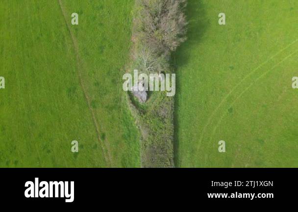 Broadsands, Torbay, Devon, England: A collapsed Neolithic tomb c. 3600 ...