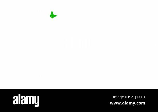 Animated green butterfly flies in a circle. Looped video. Summer and ...