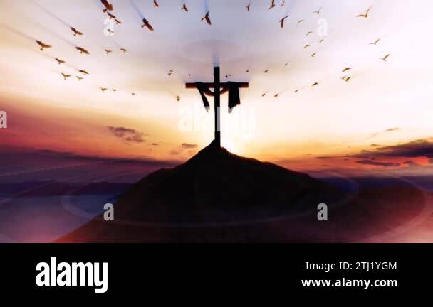 Cross layout Stock Videos & Footage - HD and 4K Video Clips - Alamy