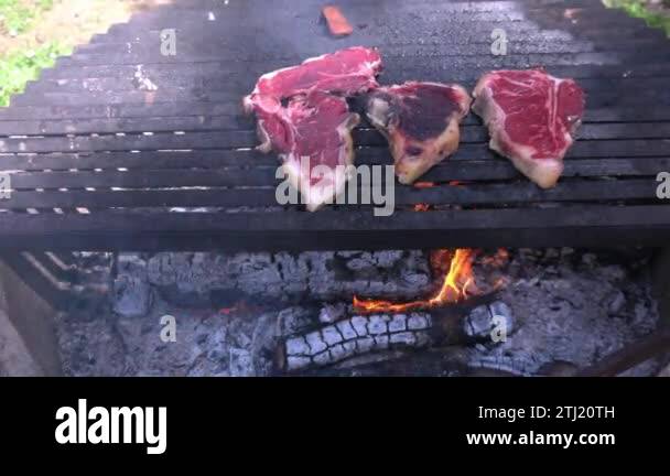 Tuscany cow Stock Videos & Footage - HD and 4K Video Clips - Alamy