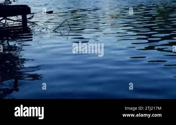 Wide wooden boardwalk Stock Videos & Footage - HD and 4K Video Clips ...