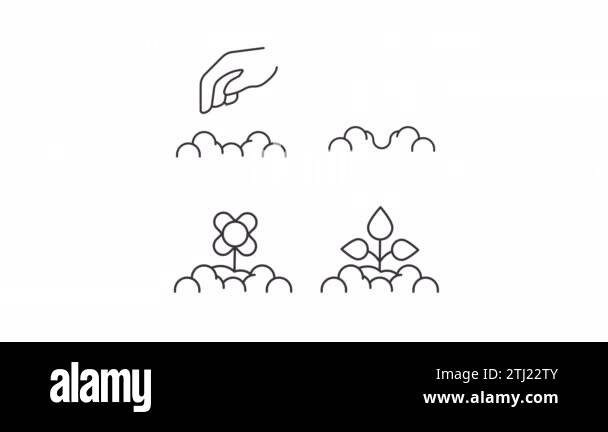 Planting in soil animation set. Animated hands sowing seeds. Plant ...