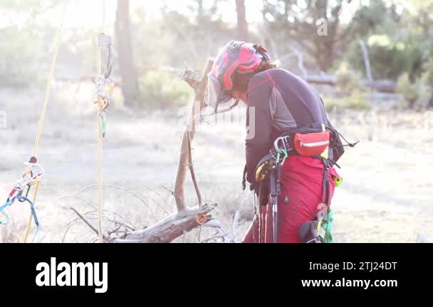 Young working woman tightening a safety harness for climbing trees ...