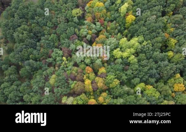 Nature background wallpaper green environment Stock Videos & Footage ...