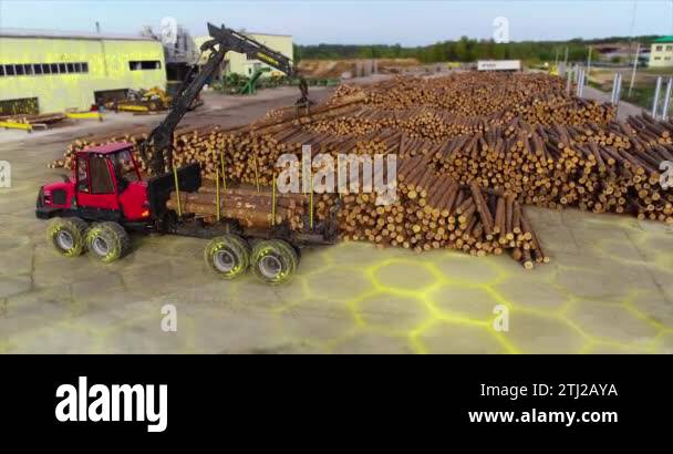 Auto with a manipulator arm loads logs. Modern equipment at the timber ...