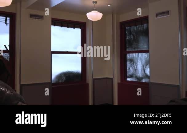 Godzilla king kong Stock Videos & Footage - HD and 4K Video Clips - Alamy