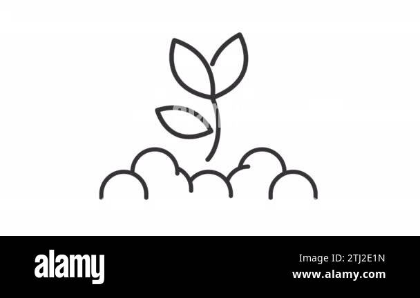 Plant growth line animation. Animated plant sprouting from soil. Plant ...