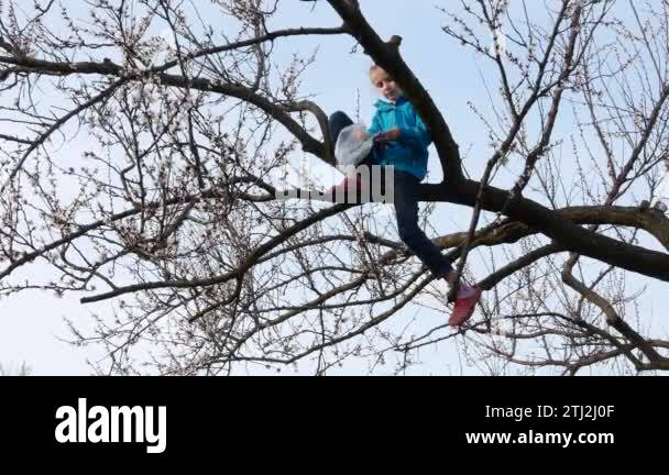 A girl launches a homemade parachute that gets stuck in the branches of ...
