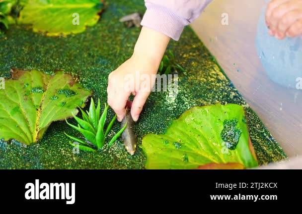 Little girl playing in handmade swamp of green-dyed chia seeds with ...