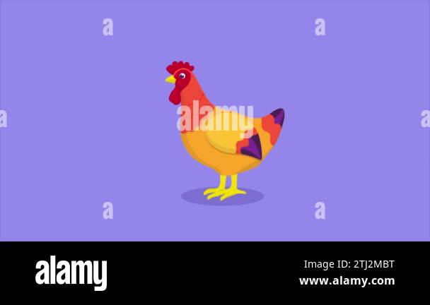 Hen vector vector illustration funny Stock Videos & Footage - HD and 4K ...