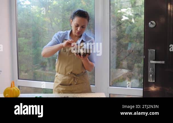 Pretty woman florist in beige apron, putting plant seeds into peat pots ...