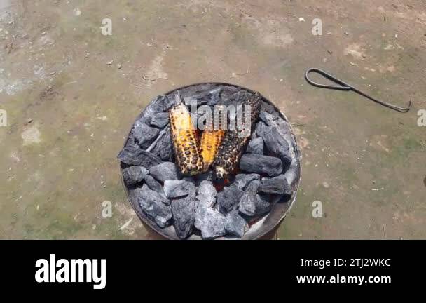 Grilled corn cobs on coal stove.Fresh roasted corncobs on coal fire ...