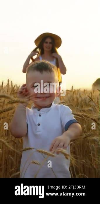 Vertical Screen: Little boy in summer clothes walking among wheat crops ...