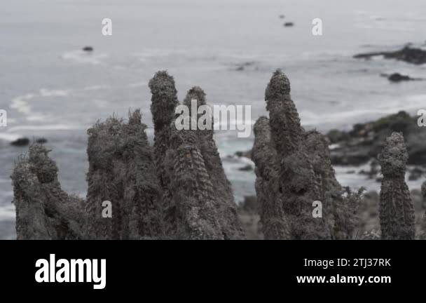 Pacfic ocean Stock Videos & Footage - HD and 4K Video Clips - Alamy