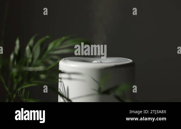 Air purifier and humidifier releases strong stream of cold steam close ...