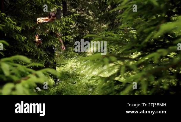 Male traveler hike with backpack trekking pine woodland, Adventurer in ...