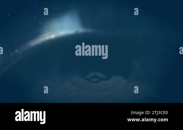 Anna fry Stock Videos & Footage - HD and 4K Video Clips - Alamy
