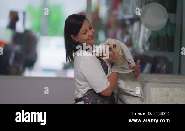 Happy Pet Shop Employee holding Shih Tzu Dog after bath. Female ...