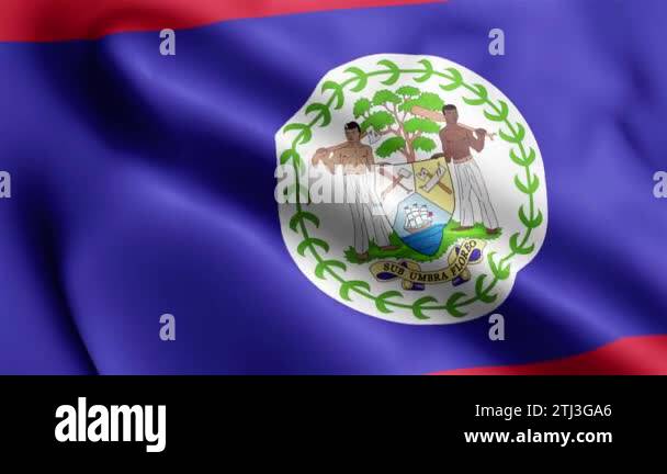 Belize Flag video waving in wind. Belize Flag Wave Loop waving in wind ...