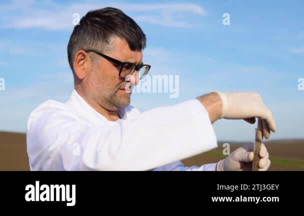 Senior scientist studying sample of soil in field. Soil sampling for ...
