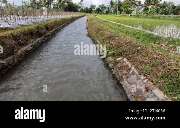 A small waterway that crosses agricultural areas with sufficient ...