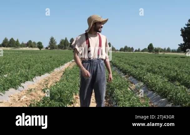 Power tomato Stock Videos & Footage - HD and 4K Video Clips - Alamy