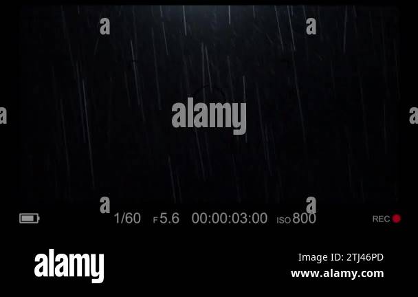 Night rain. 4k Loop Rain Drops Falling in rainy season. Real Rain ...