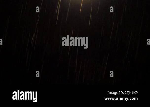 Night rain. 4k Loop Rain Drops Falling in rainy season. Real Rain ...